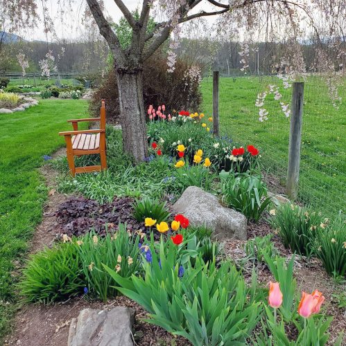 The mixed border: An enduring garden style | News, Sports, Jobs - The ...